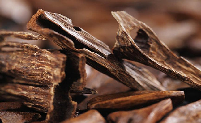 What is Oud? – NUHR Home